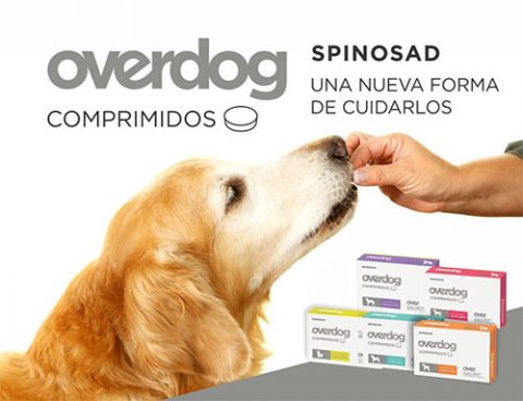 Llega Overdog Comprimidos | Laboratorios Over SRL